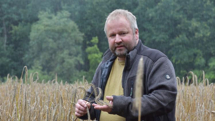Angst um Ernte: Wie der Regen Landwirten in Ganderkesee zusetzt