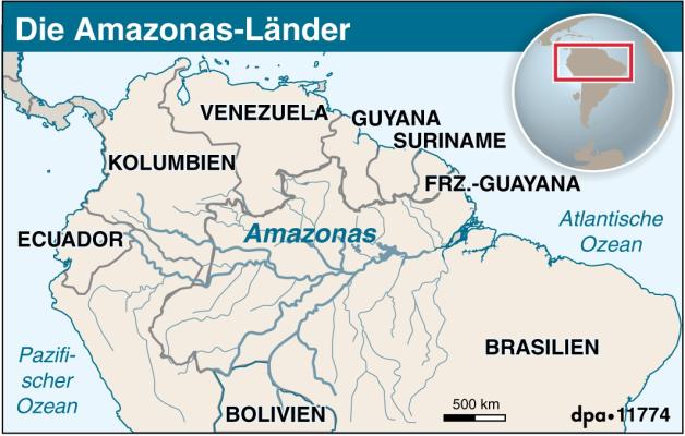 Amazonas-Gipfel: Anrainerstaaten wollen Regenwald besser schützen