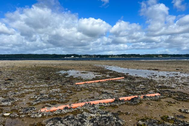 Sturmtief Zacharias sorgt für Ebbe in Fahrensodde in Flensburg