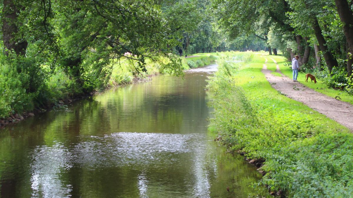 Rost in der Delme bedroht Fische und Natur: Was dagegen hilft