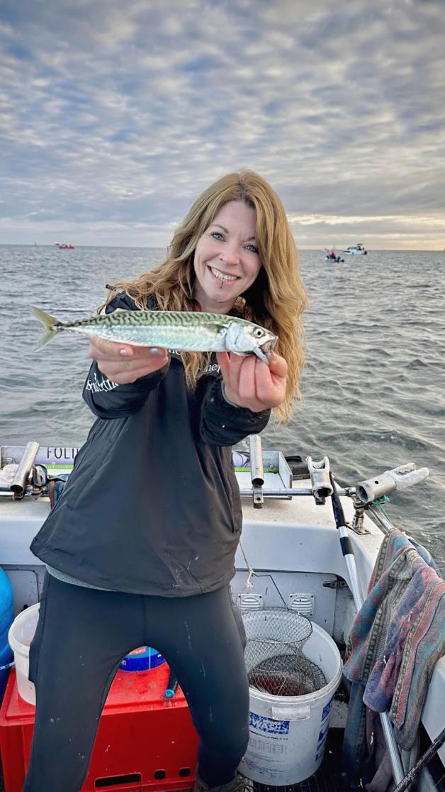 Makrelen angeln in Warnemünde: Wie Angler auf Jagd gehen | SVZ