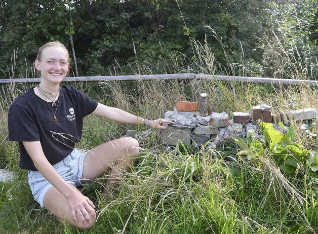 Wo man jetzt auf Sylt Kegelrobben und Seehunde beobachten kann