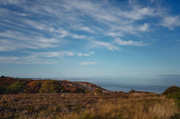 Darum landet Sylt oft in Rankings der Top-Destinationen