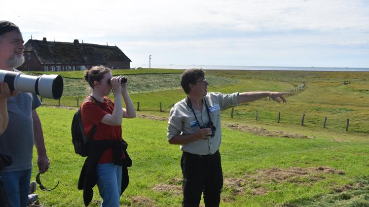 Halligen im Wattenmeer von Nordfriesland