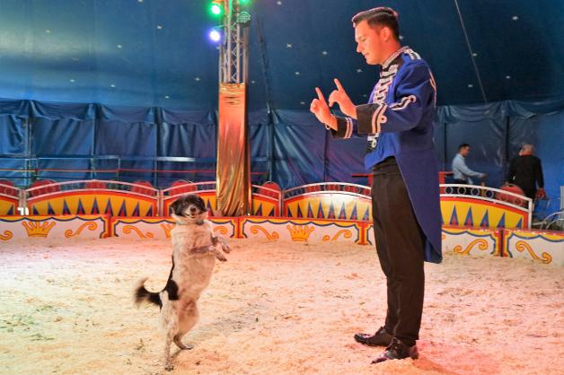 Circus Gallini: So lebt und arbeitet die Familie Lauenburger