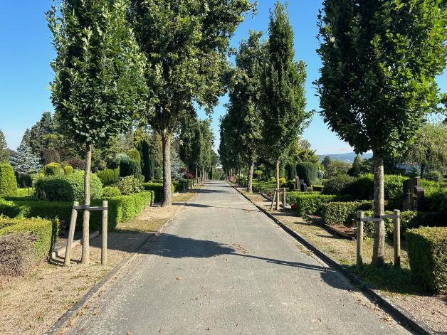 Baby-Mord auf Meller Rastplatz: Fall hätte gelöst werden können