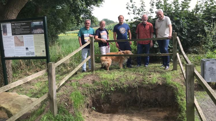 Bürener Plaggenesch: Wie unsere Vorfahren ihre Böden verbesserten