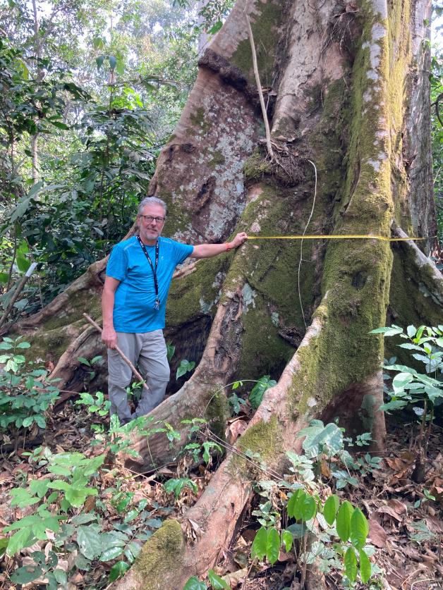 Regenwald-Aufforstung: Nortorfer Greenlimba-Projekt erfolgreich