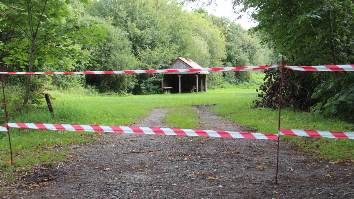 Schlangen in Walchum: Mittlerweile schon 9 Pythons entdeckt