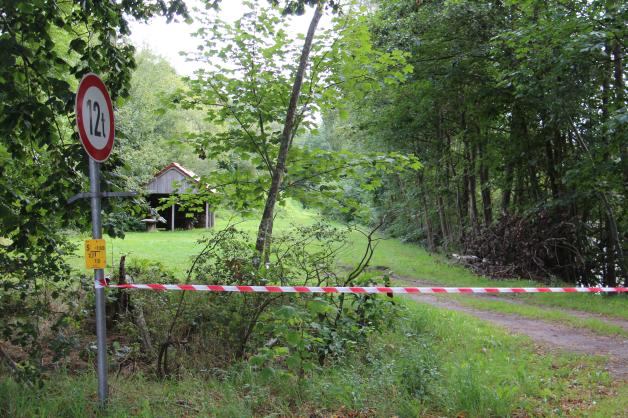 Schlangen in Walchum: Mittlerweile schon 9 Pythons entdeckt