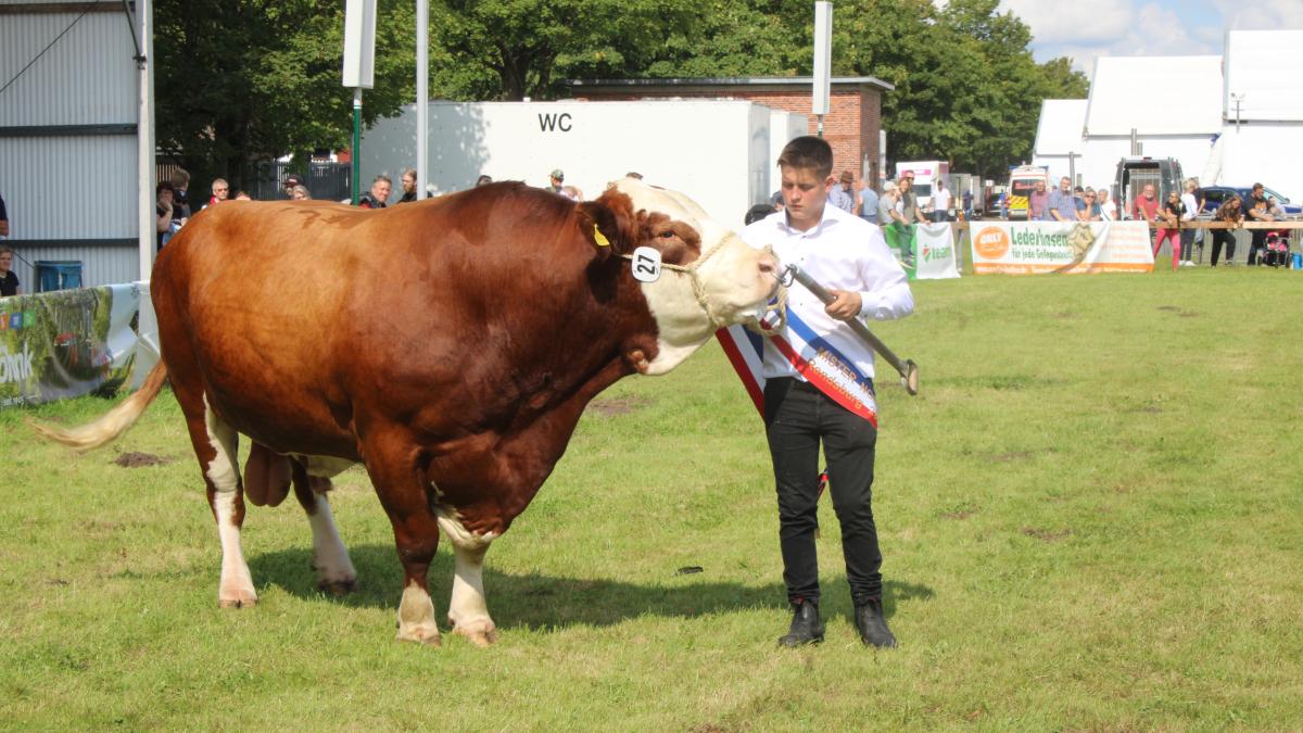 Rendsburg: Besucheransturm auf Landwirtschaftsmesse Norla