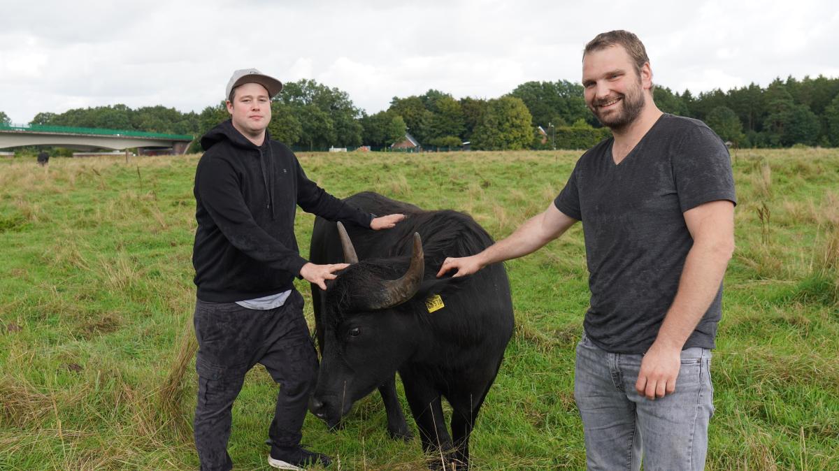 Zwei Jung-Landwirte im Emsland setzen auf Wasserbüffel-Leasing