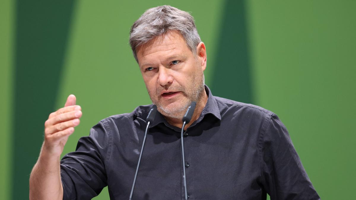 Habeck gesteht bei RTL: „Der Anreiz für Arbeit ist sehr gering“