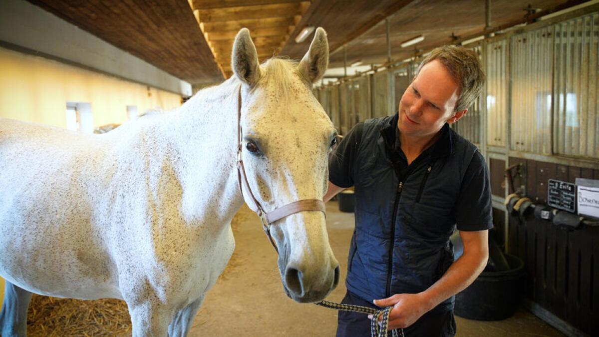 Video: Unterwegs mit Pferdetierarzt Gerret Bruhn aus Bistensee