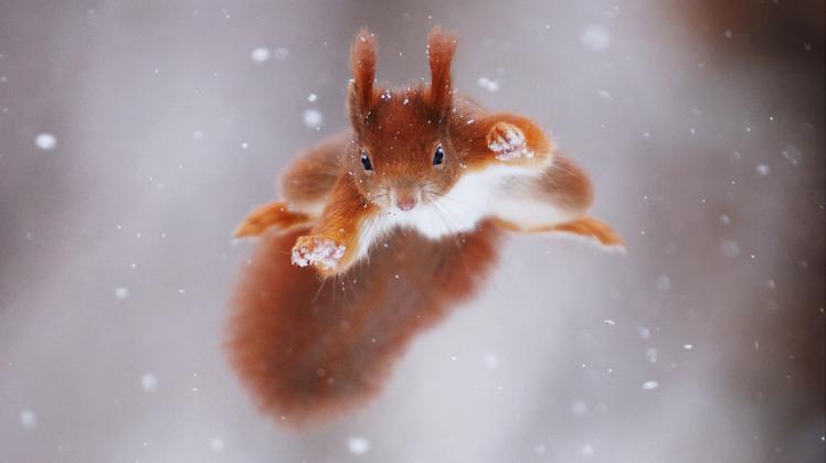 Green Screen zieht Bilanz: Beste Kritik und größte Inflation