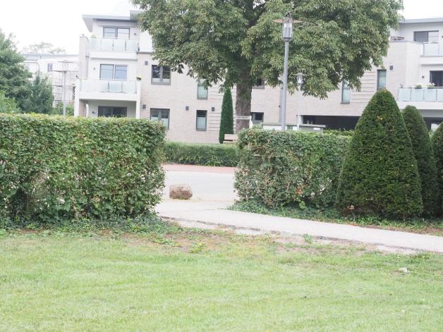 Rosarium Uetersen: Säulen sollen weiteren Eingang verschönern