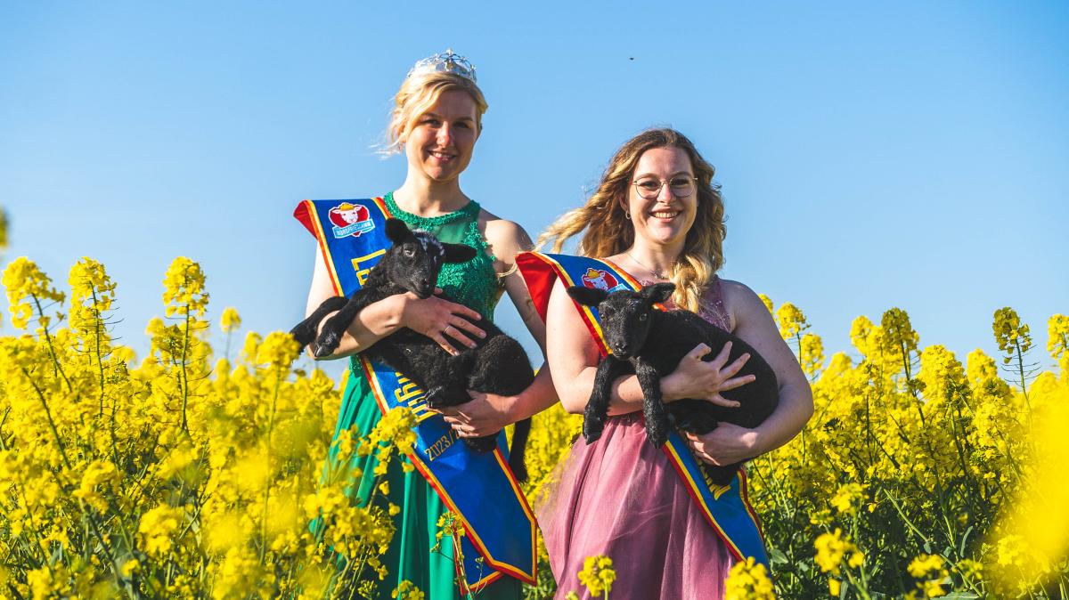 Veranstaltung: Herbstzauber am Wochenende in Friedrichstadt | SHZ