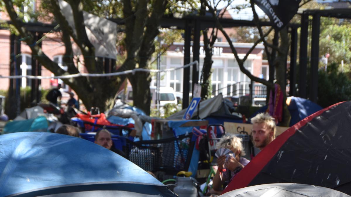 Wie im 9-Euro-Sommer: Sylt-Punks wollen zurück in Rathaus-Park