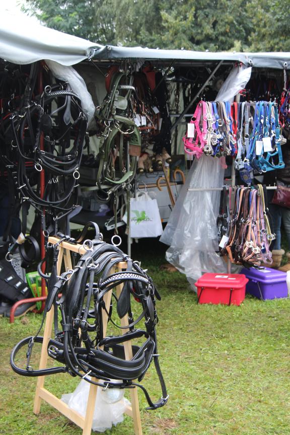 Das Marktgeschehen auf dem Rheder Viehmarkt in Bildern