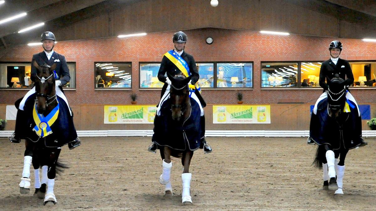 Reitsport: Kneese triumphiert beim Schenefelder Dressur-Festival