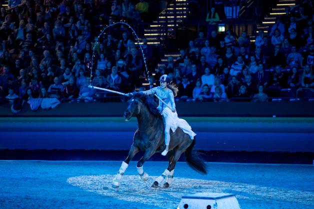 Trakehner Hengstmarkt 2023 lockt in den Holstenhallen Neumünster