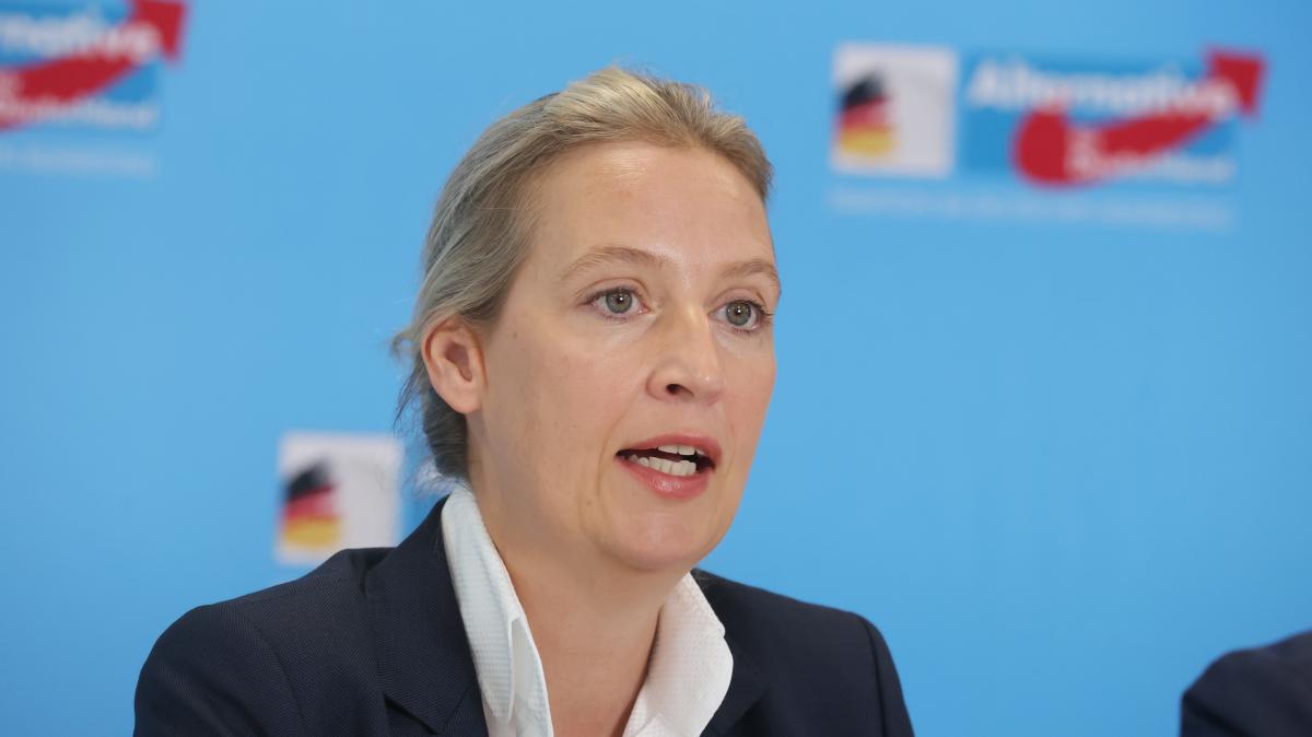 AfD-Chefin Weidel will auf öffentliche Bühne zurückkehren