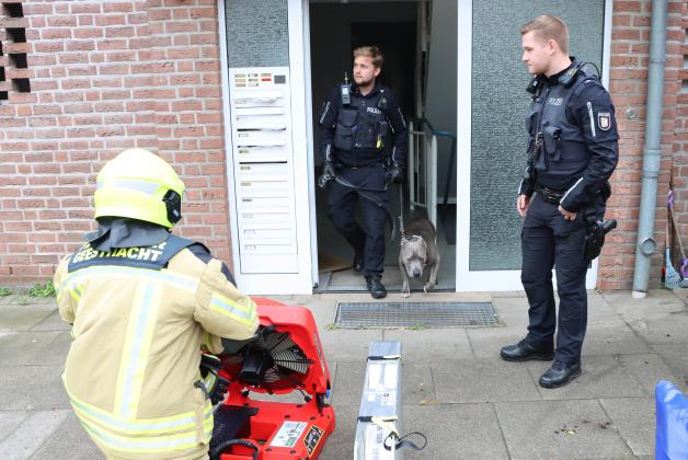 Wohnungsbrand in Geesthacht: Polizei rettet alleingelassenen Hund