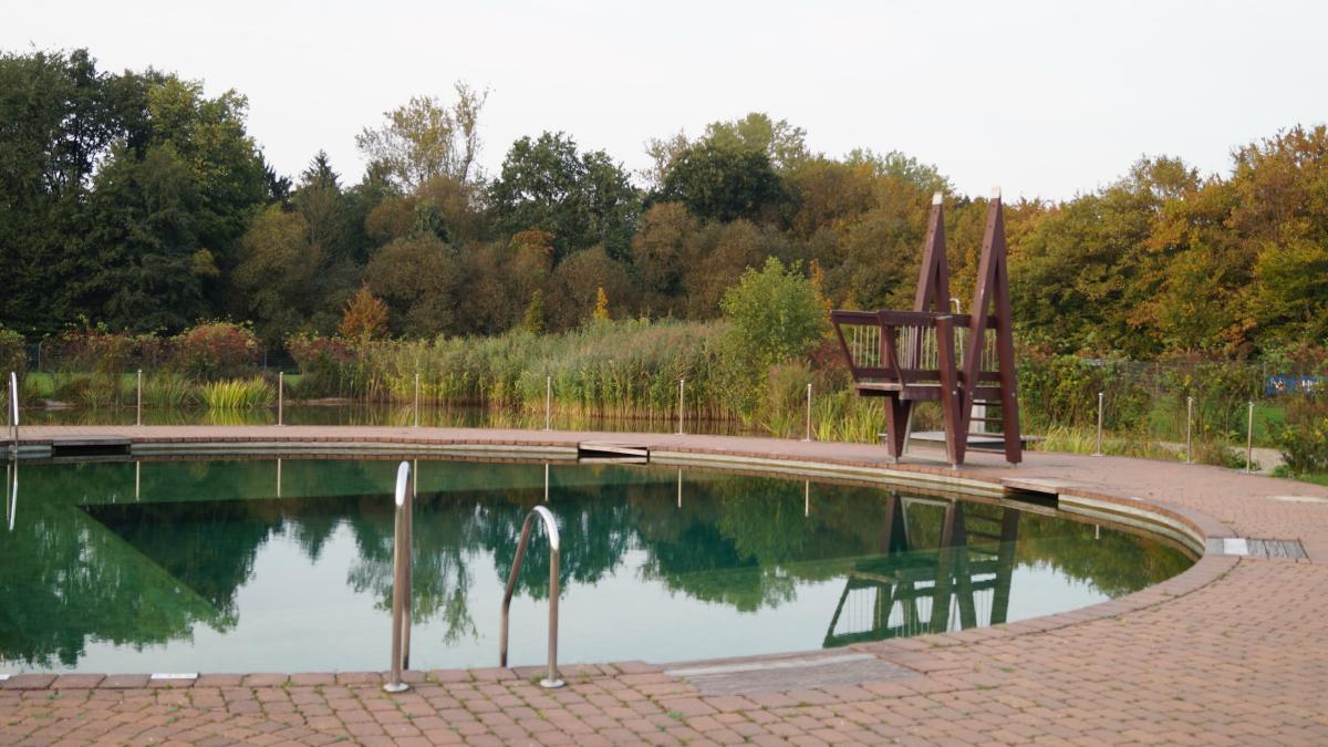 Wie Ehrenamtliche seit 22 Jahren fürs Naturbad Hasbergen kämpfen