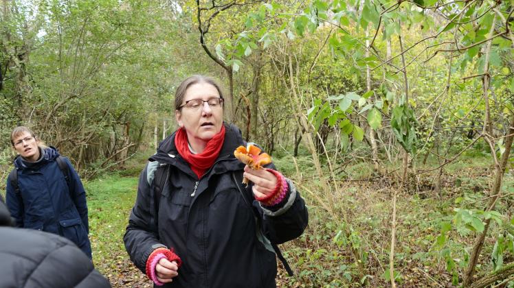 Damendorf: Kräuterwanderung, Pilze und eine Leiche im Moor