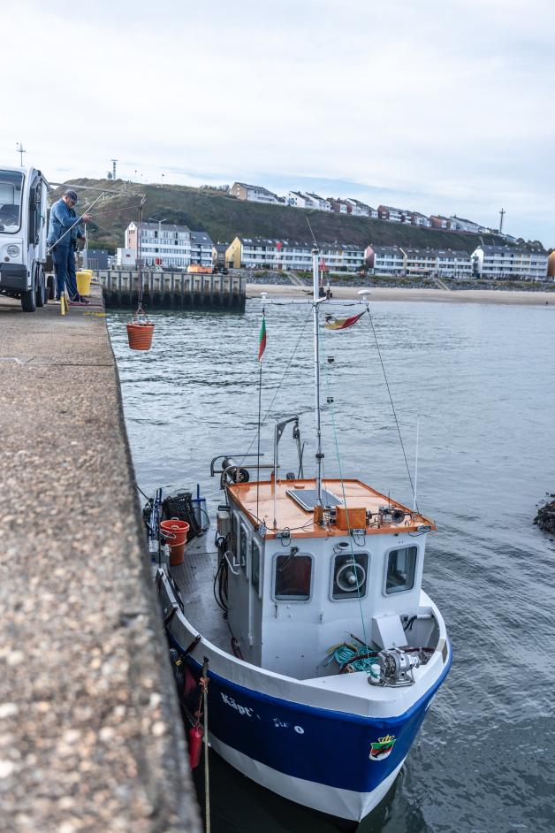Wie sich der Hummer vor Helgoland erholt – eine Erfolgsgeschichte