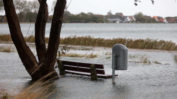 Nach Sturmflut: Sperrmüll-Sondertour am 27. Oktober in Maasholm