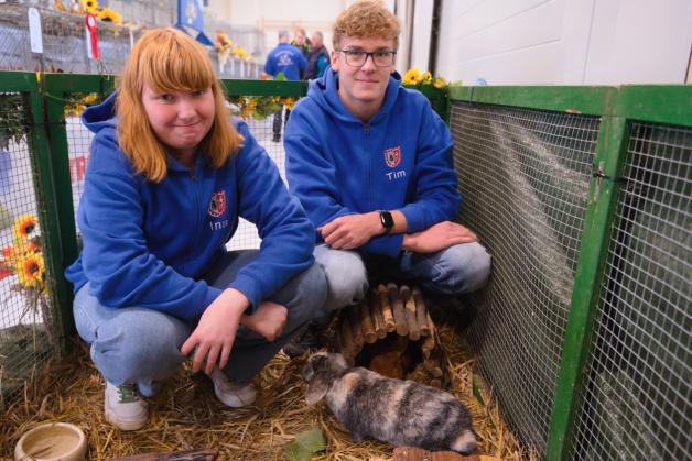 Süß, flauschig, bissig: 220 Tiere bei Kaninchenschau in Barmstedt | SHZ
