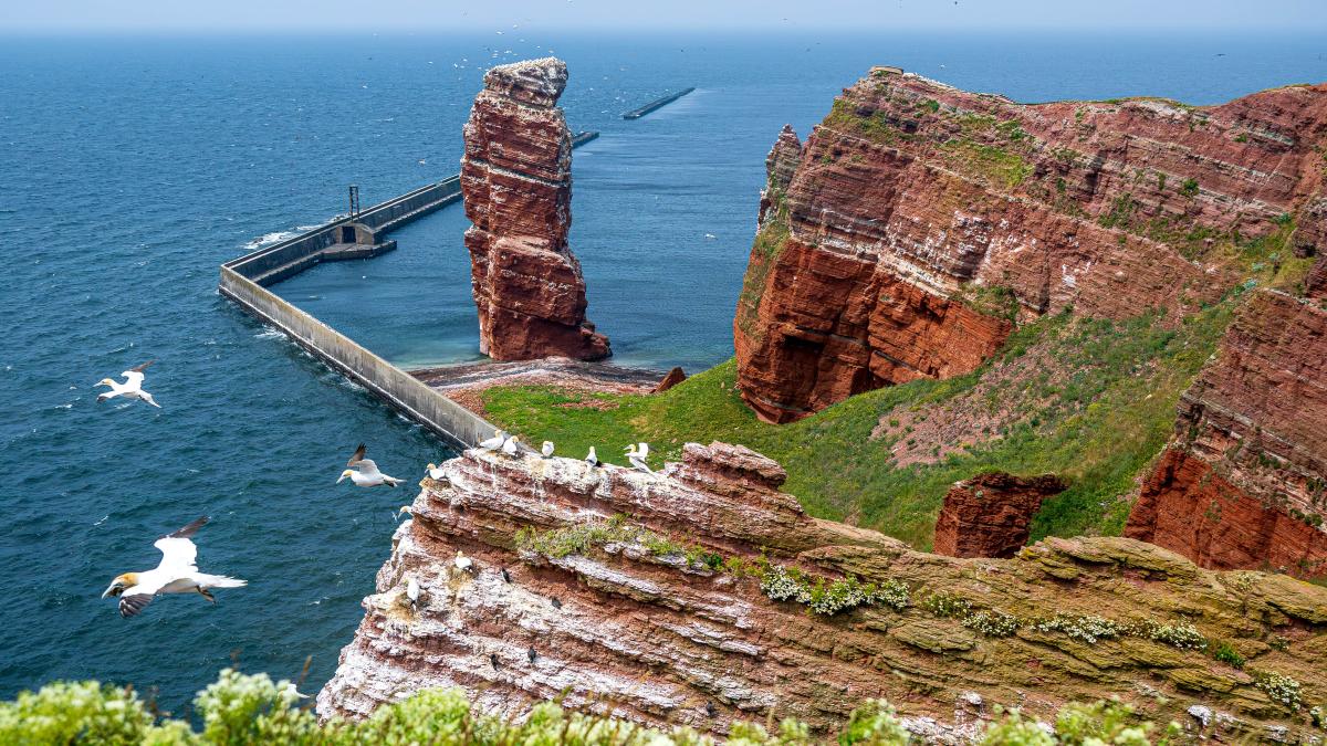 Helgoland: Sorge vor Umweltschäden nach Frachter-Unglück