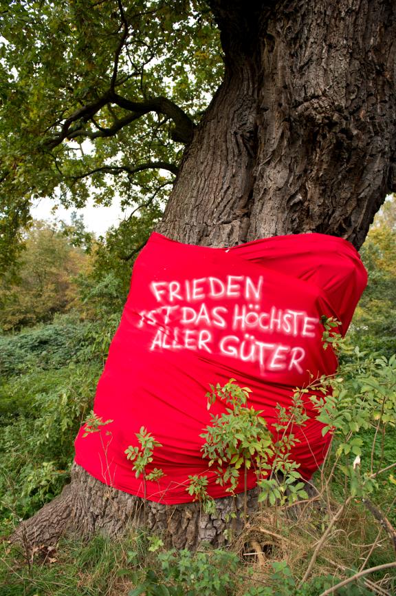 Kunstaktion in Bildern: Drei alte Bäume in der Region Osnabrück mit ...