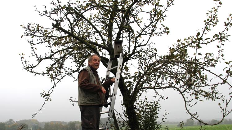 KLAr Melle gibt sechs Tipps zur richtigen Obstbaumpflege