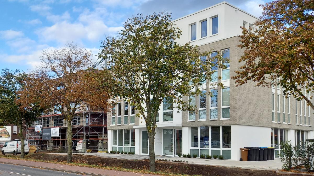 Lingen: Diese Firmen ziehen in die Rheiner Straße 164 ein | NOZ