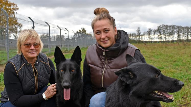 Doris Schiemann gibt Tierheim in Holthusen nach 22 Jahren ab | SVZ