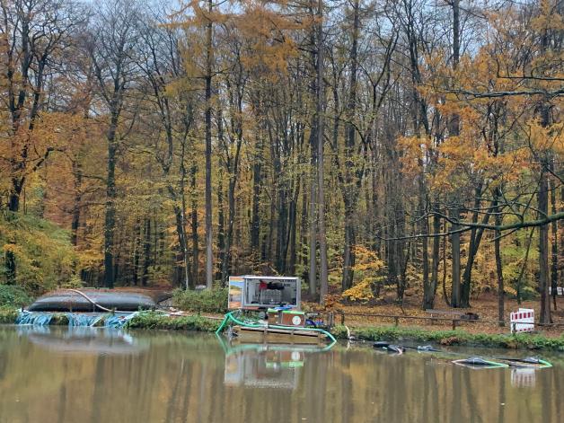 Flensburg: Schwanenteich wird umweltfreundlich entschlammt