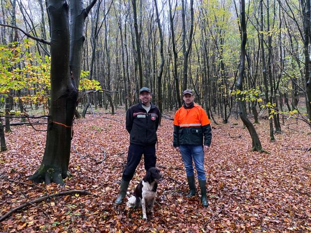 So teuer ist das Heizen mit Brennholz in der Region Osnabrück