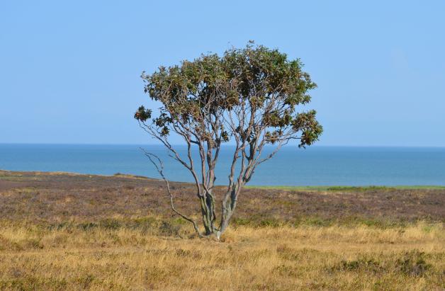 Diese sagenhaften Orte gibt es auf Sylt