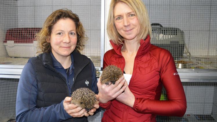 Im Tierheim Sylt leben 170 Tiere. Doch alles wird teurer.