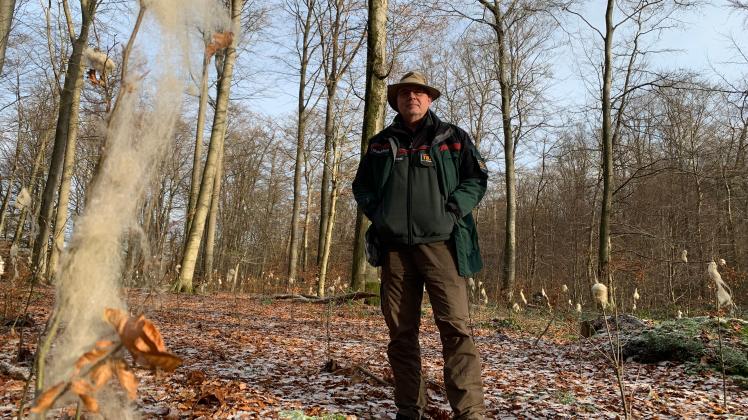 Flensburg: Förster Michael Gräf über Waldverjüngung und PEFC