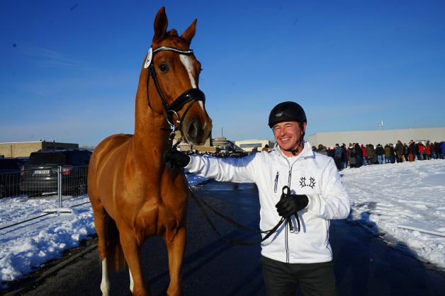 Trakehner Hengstmarkt in Neumünster: Start vor 1000 Zuschauern