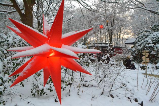 Malente: Das sagen die Besucher zum Weihnachtsmarkt im Kurpark