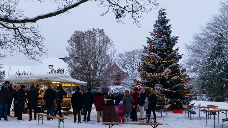 Eine Sechs-Meter-Tanne und viel Schnee in Großharrie