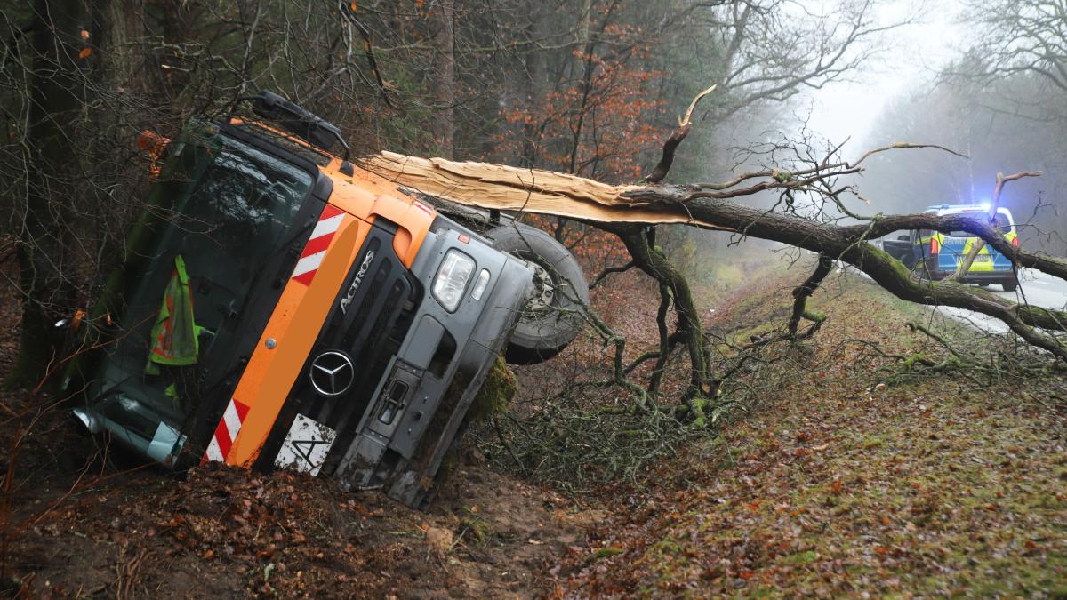 Brammer: Lkw kracht gegen Baum und fällt auf die Seite