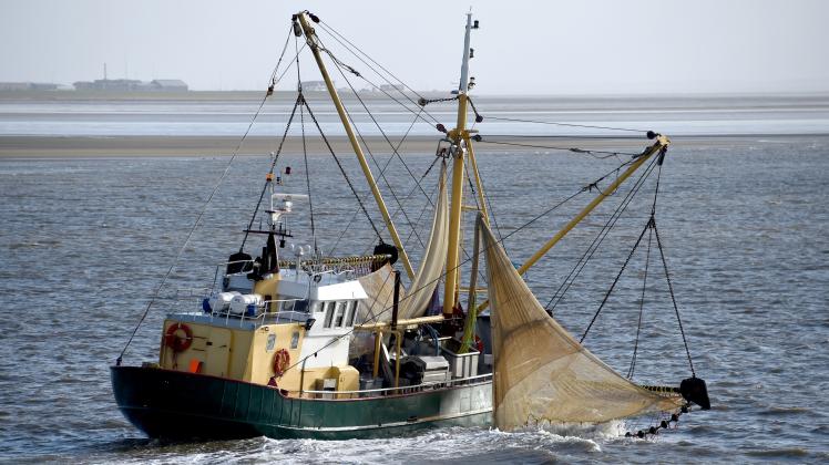 Nordseefischer dürfen 2024 laut EU mehr Fisch an Land bringen