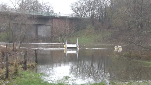 Ems-Hochwasser hat den Kanuhof Lingen seit Oktober fest im Griff