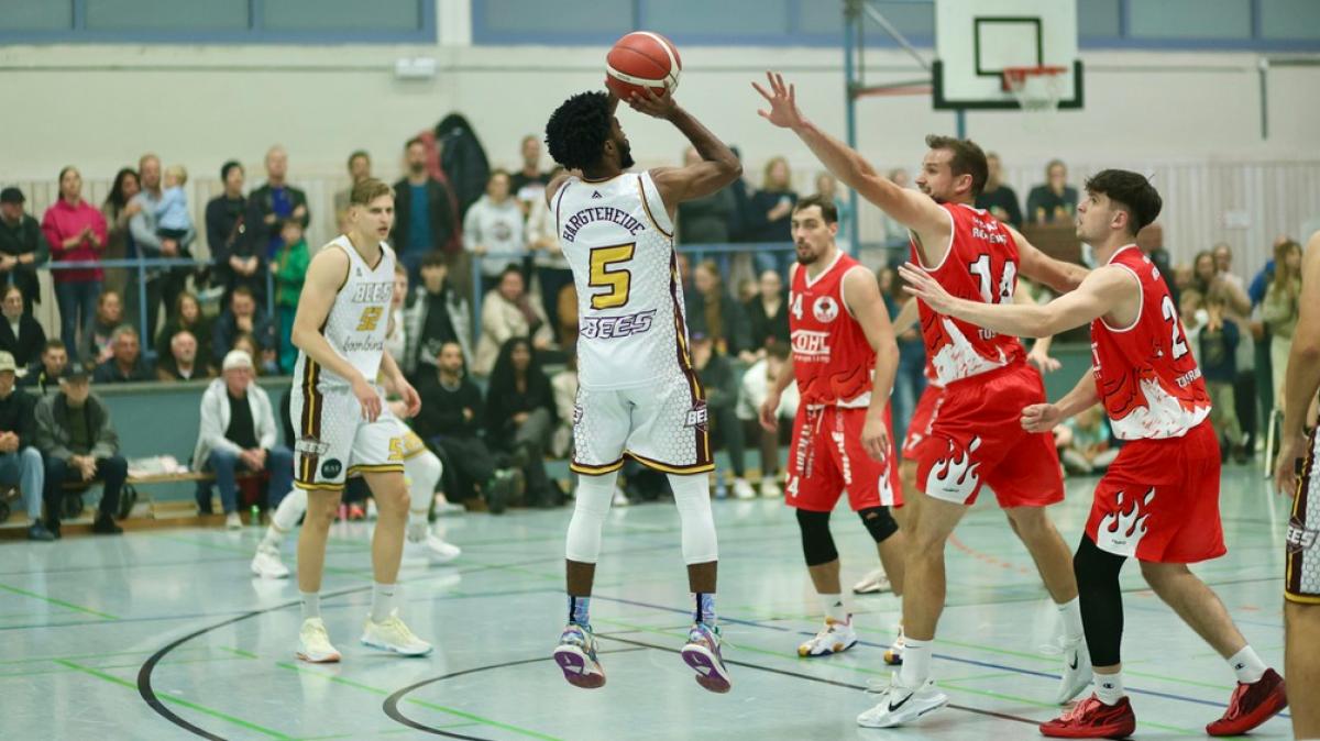 1. Basketball-Regionalliga: Drei-Punkte-Abzug für TSV Bargteheide | SHZ