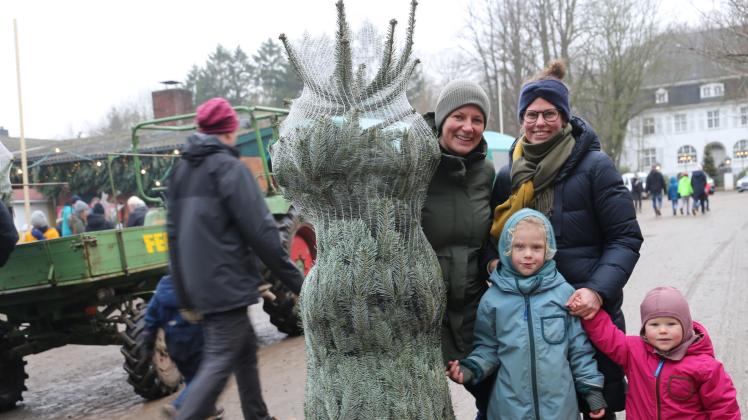 Weihnachten 2023: Tannenbäume vom Gut Augustenhof in Osdorf